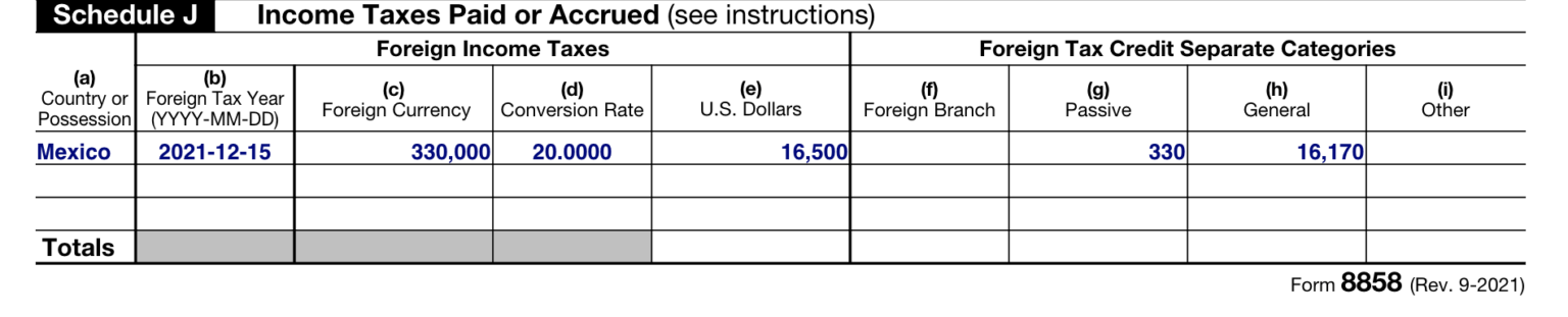 All About Form 8858 - Most Common Questions from Expats