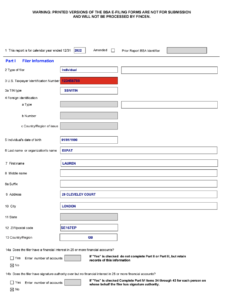FinCEN Form 114: Everything You Need to Know to File the FBAR Form