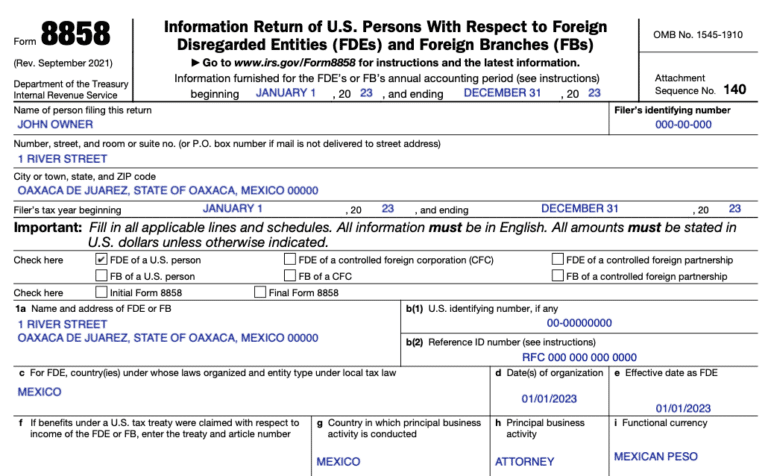 All About Form 8858 - Most Common Questions from Expats